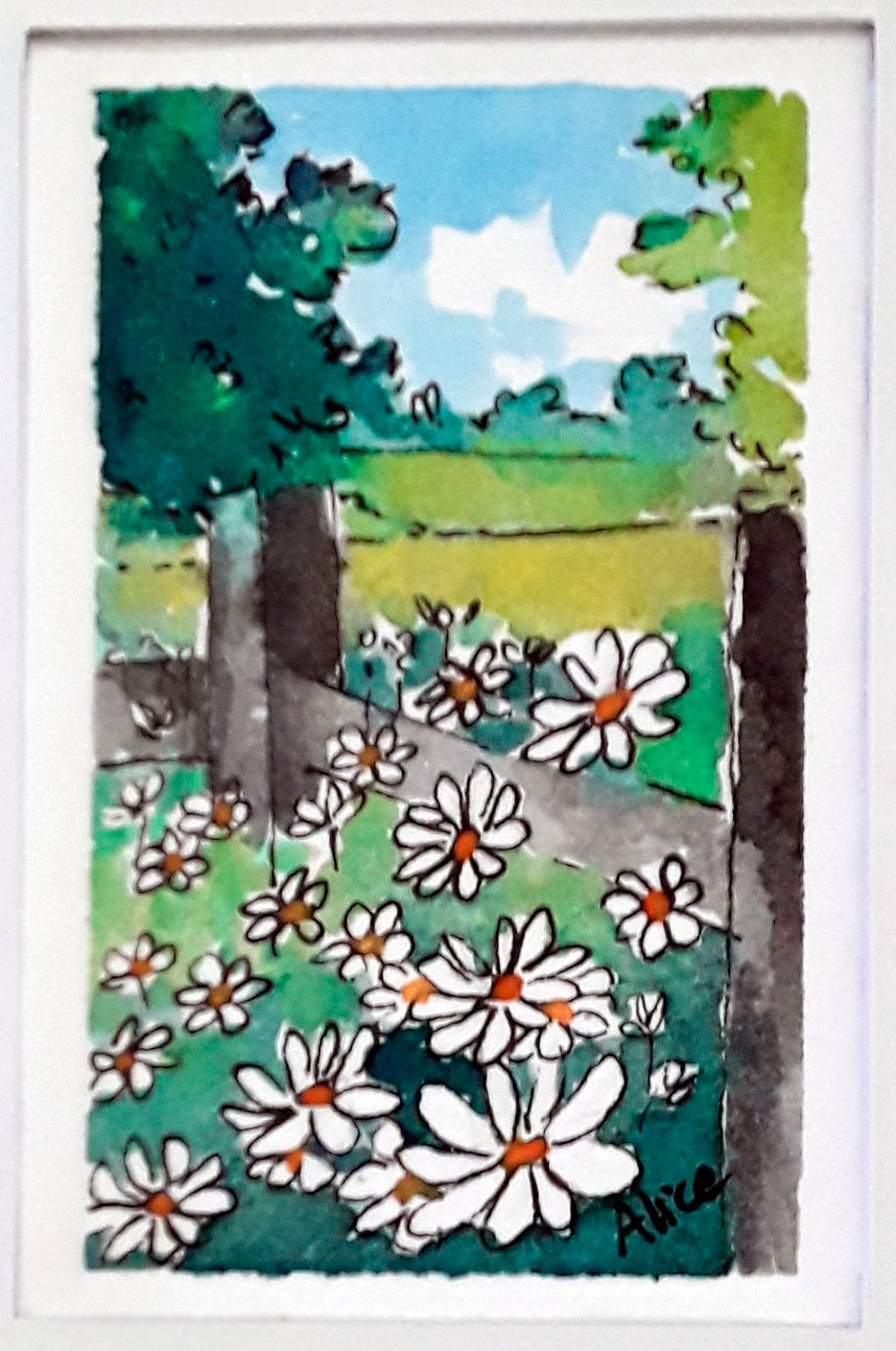 Daisies - Kakklein Collective